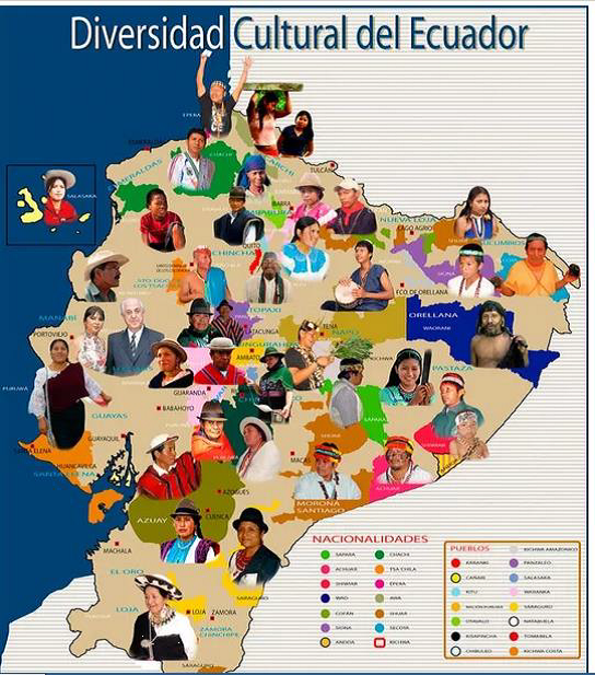 TAREAS PEDAGOGICAS: niños de séptimo año