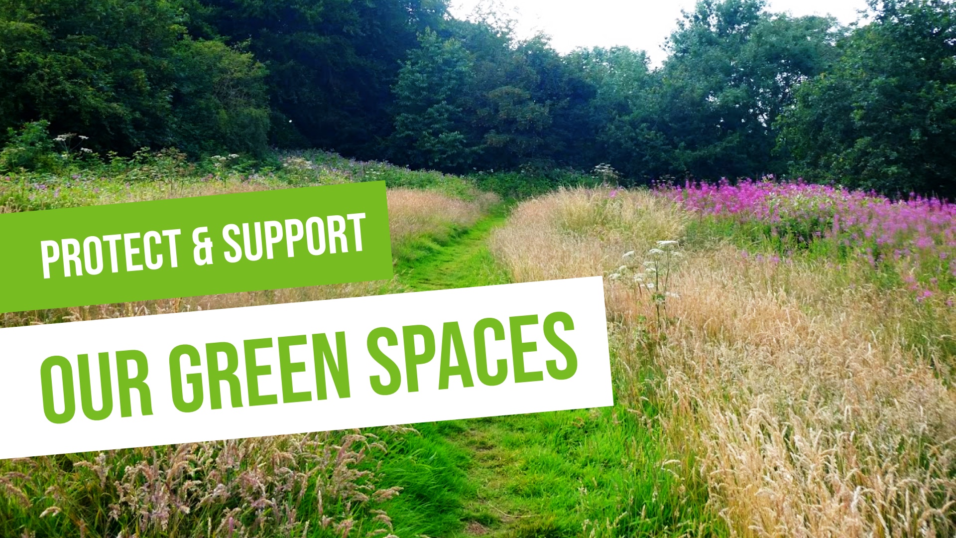North Staffs Greens to take a leading role in the campaign to protect ...