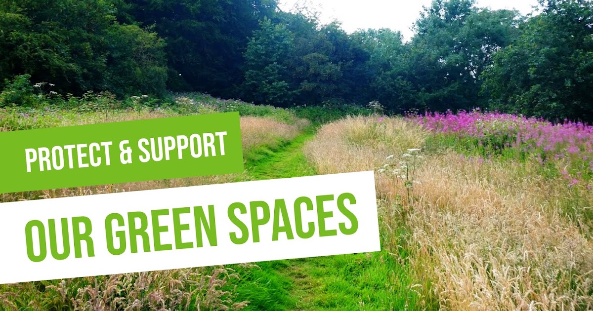 North Staffs Greens to take a leading role in the campaign to protect ...