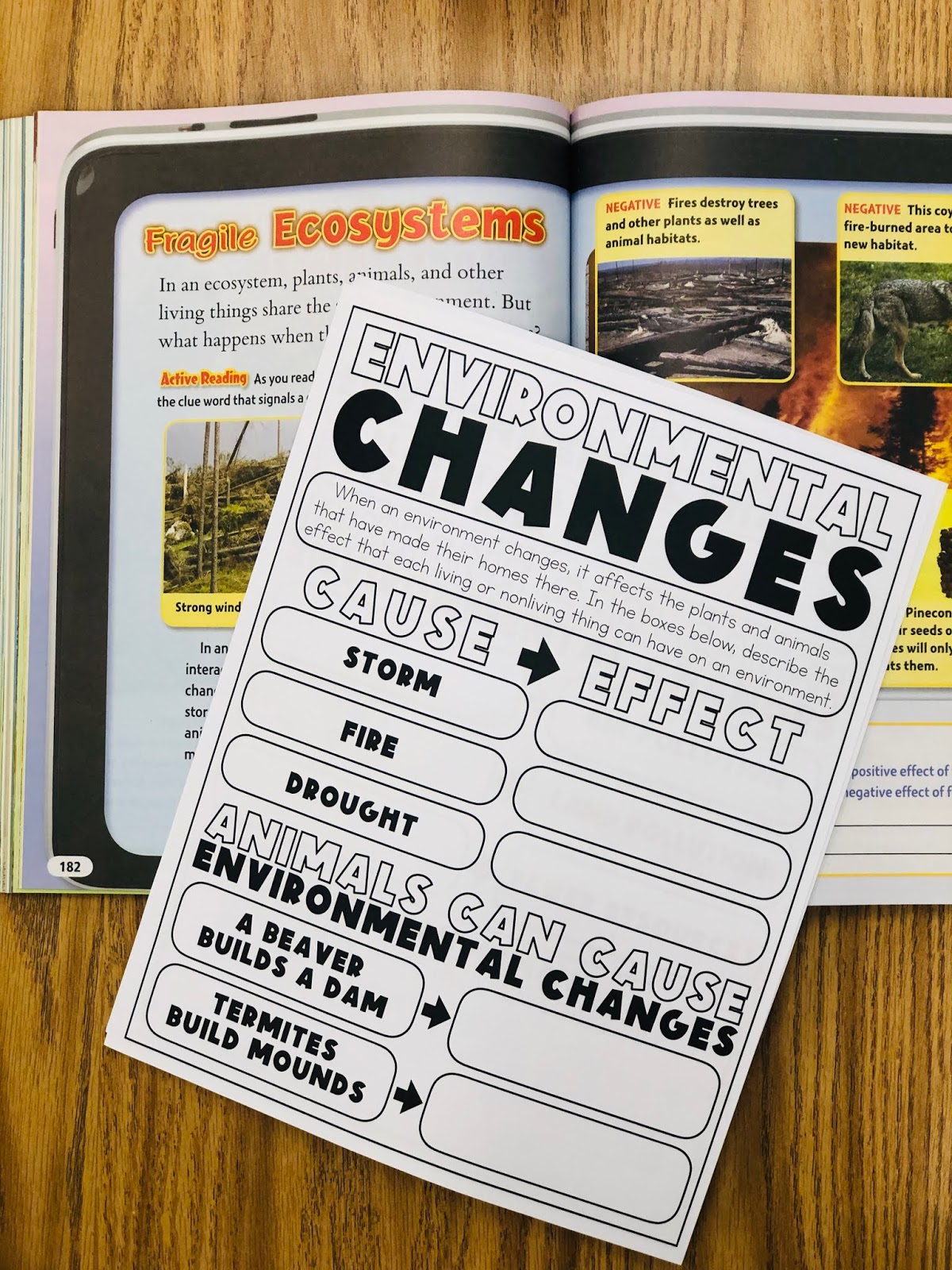 Ecosystems & Food Chains - Teaching to the Test-Taker