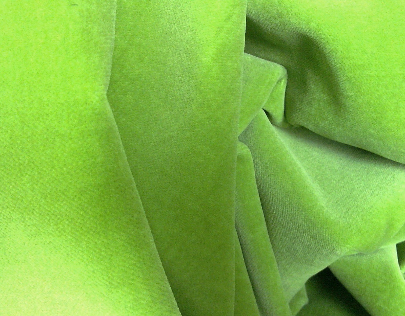 AUTOTEX ROMANIA: CATIFEA VERNIL