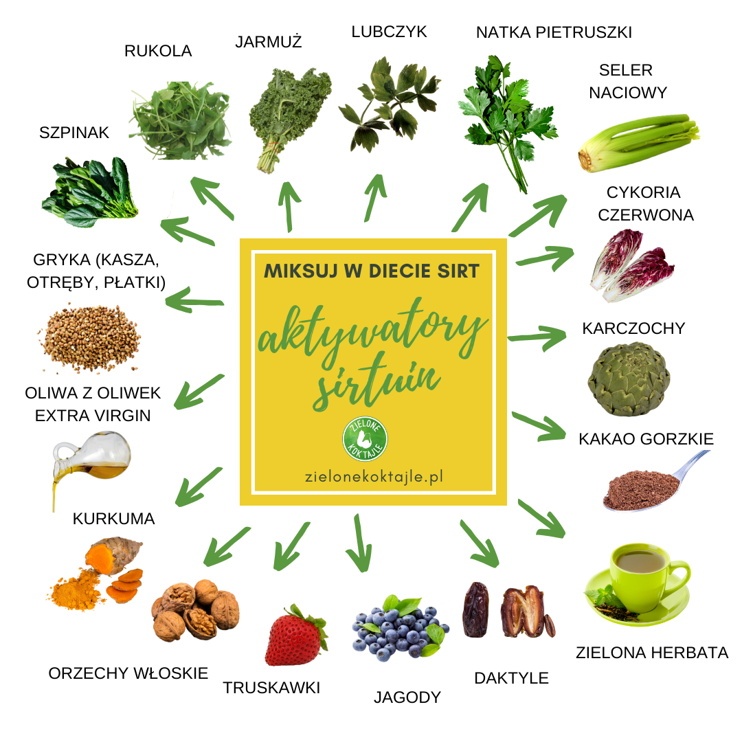 Zielone koktajle: Odchudzająca dieta młodości, aktywatory sirtuin, co ...