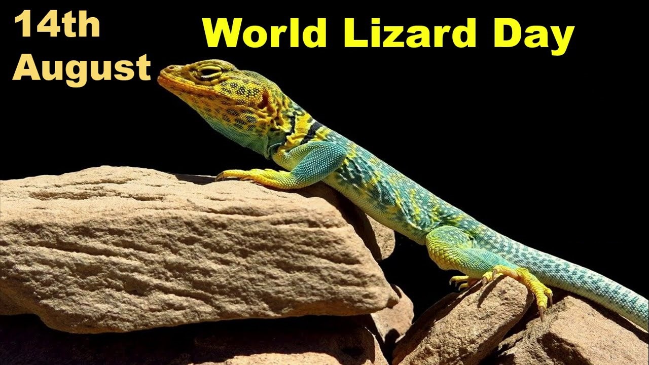 World Lizard Day - 14 August. ~ CURRENT AFFAIRS (CA) DAILY UPDATES