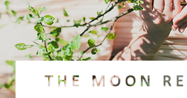 The Moon Reverse ﾐ : Introdução do blog