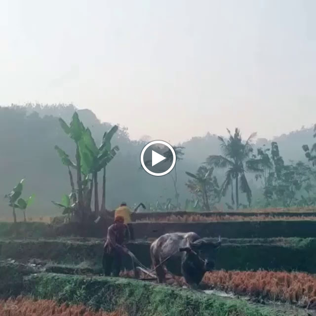 Must Watch New Funny Comedy Videos