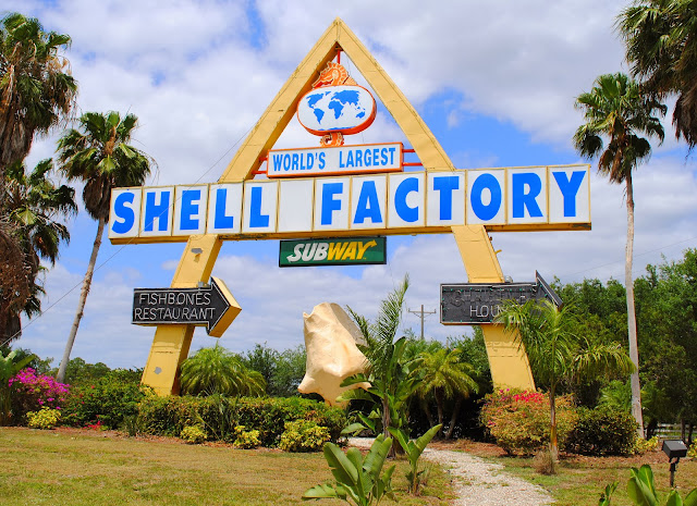 The Carpetbagger: The Shell Factory