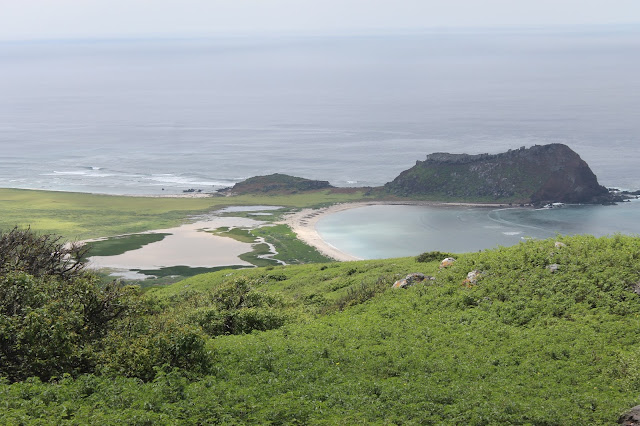 Biodiversidad de "El Bajío Profundo": ISLA CLARIÓN, ARCHIPIELAGO DE ...