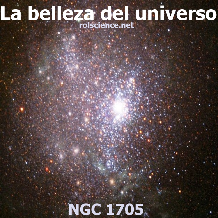 ROLscience: Página 152 de 365: NGC 1705