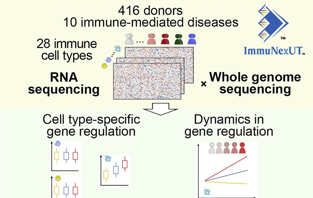 Actualités Scientifiques - Médicales: #Cell #régulationgénique # ...
