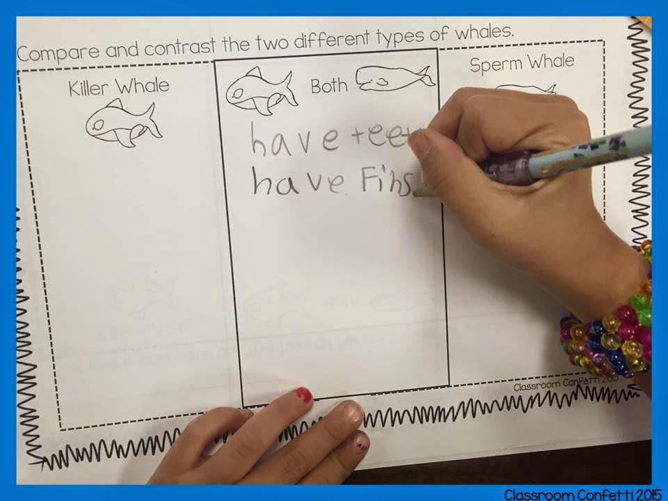 Whales Whales Whales - Classroom Confetti