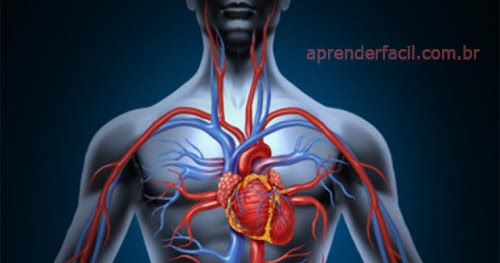 Sangue venoso e arterial: qual a diferença? - Aprender Fácil