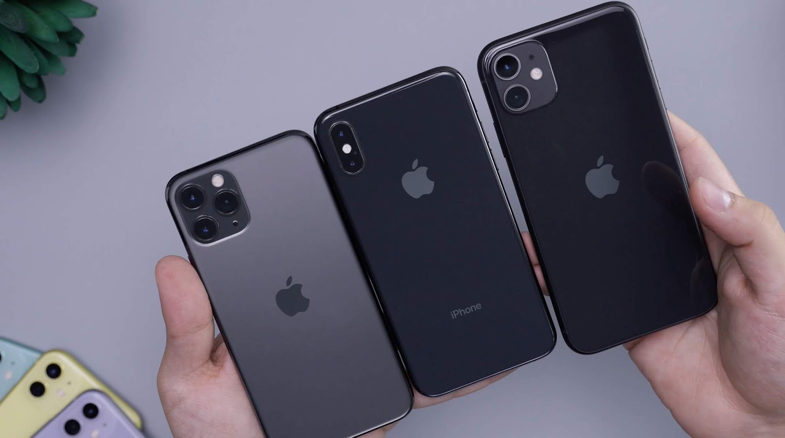 Apa Benar Layar Yang Digunakan iPhone Gampang Pecah? | PUKEVA