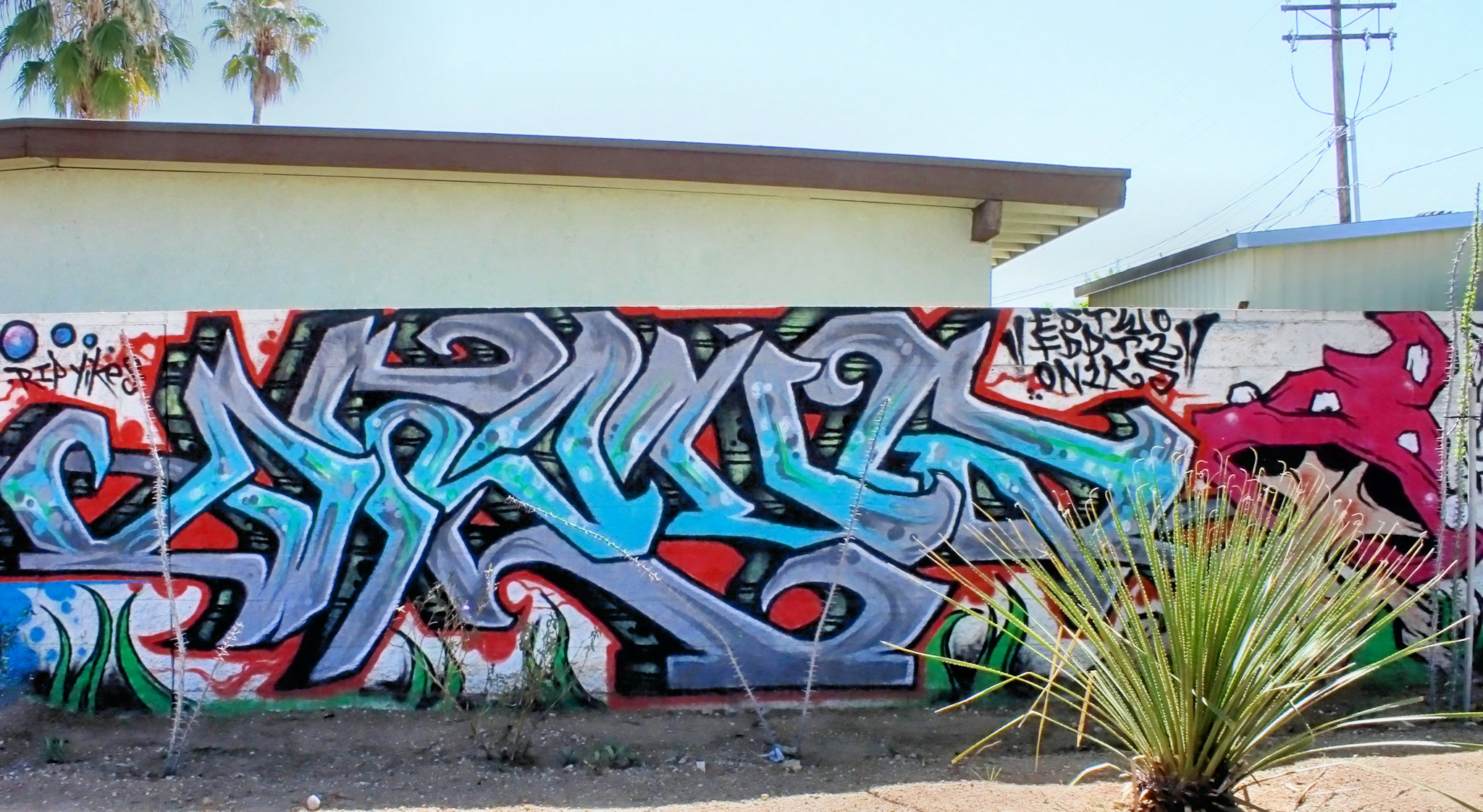 The Tucson Murals Project: Graffiti Mural, Part I