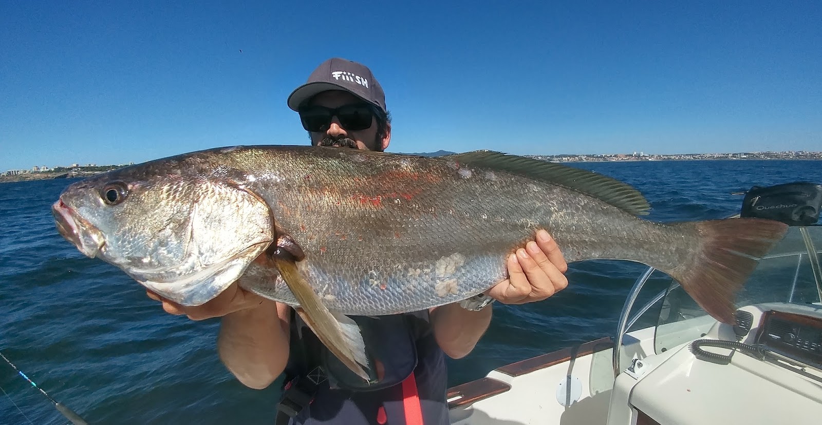 LABRAX HUNTER: CORVINA EM CASCAIS (com video)