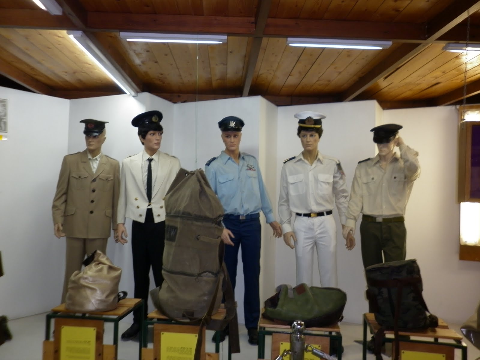 Rabbi Bloom's Sabbatical Blog: 1 Camel, 1 Kibbutz, 3 Museums, and Obama