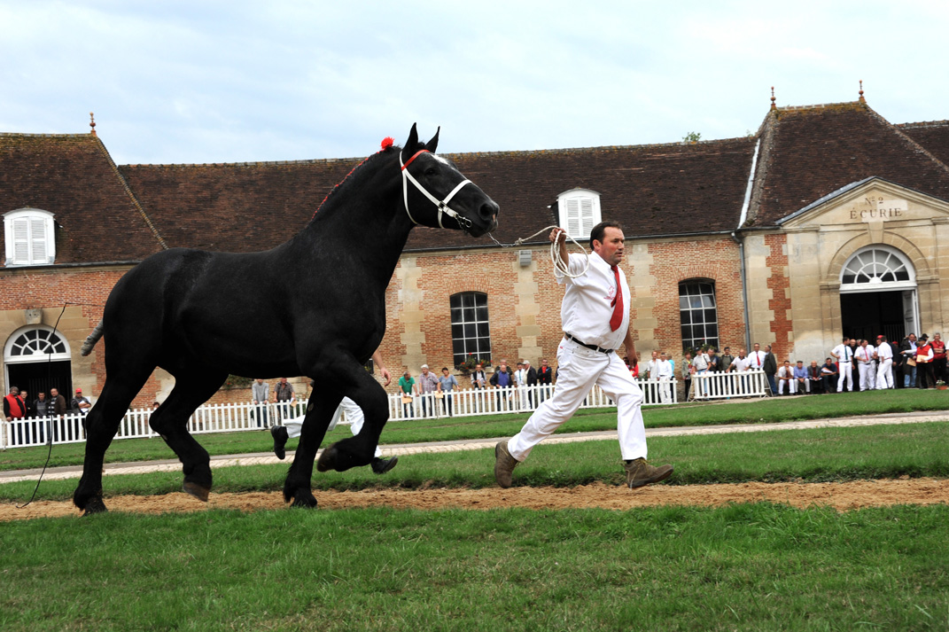Percheron International: Décès De Mr Pascal Vallée