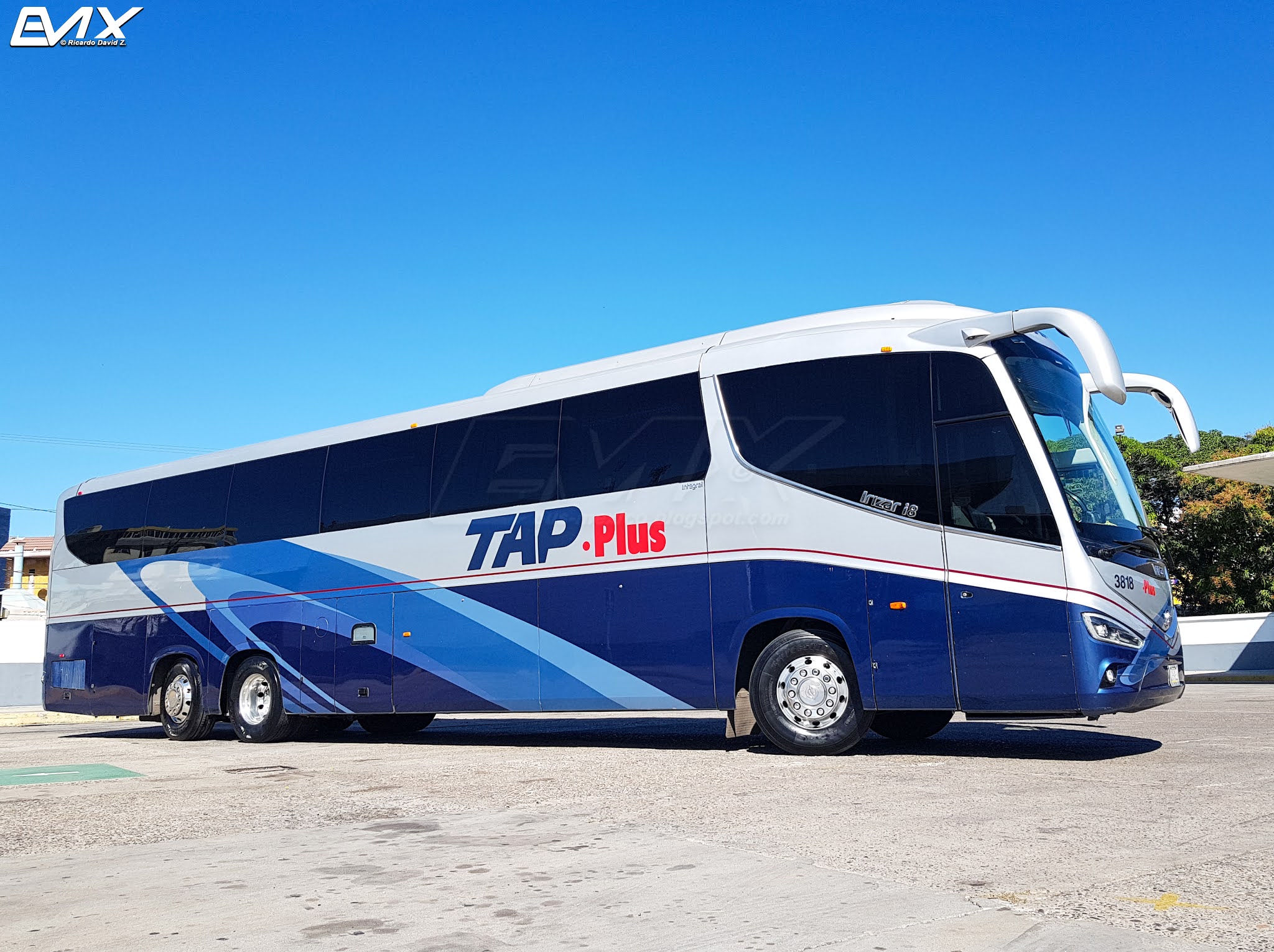 Transportes y Autobuses del Pacífico: TAP Plus - Bus-México