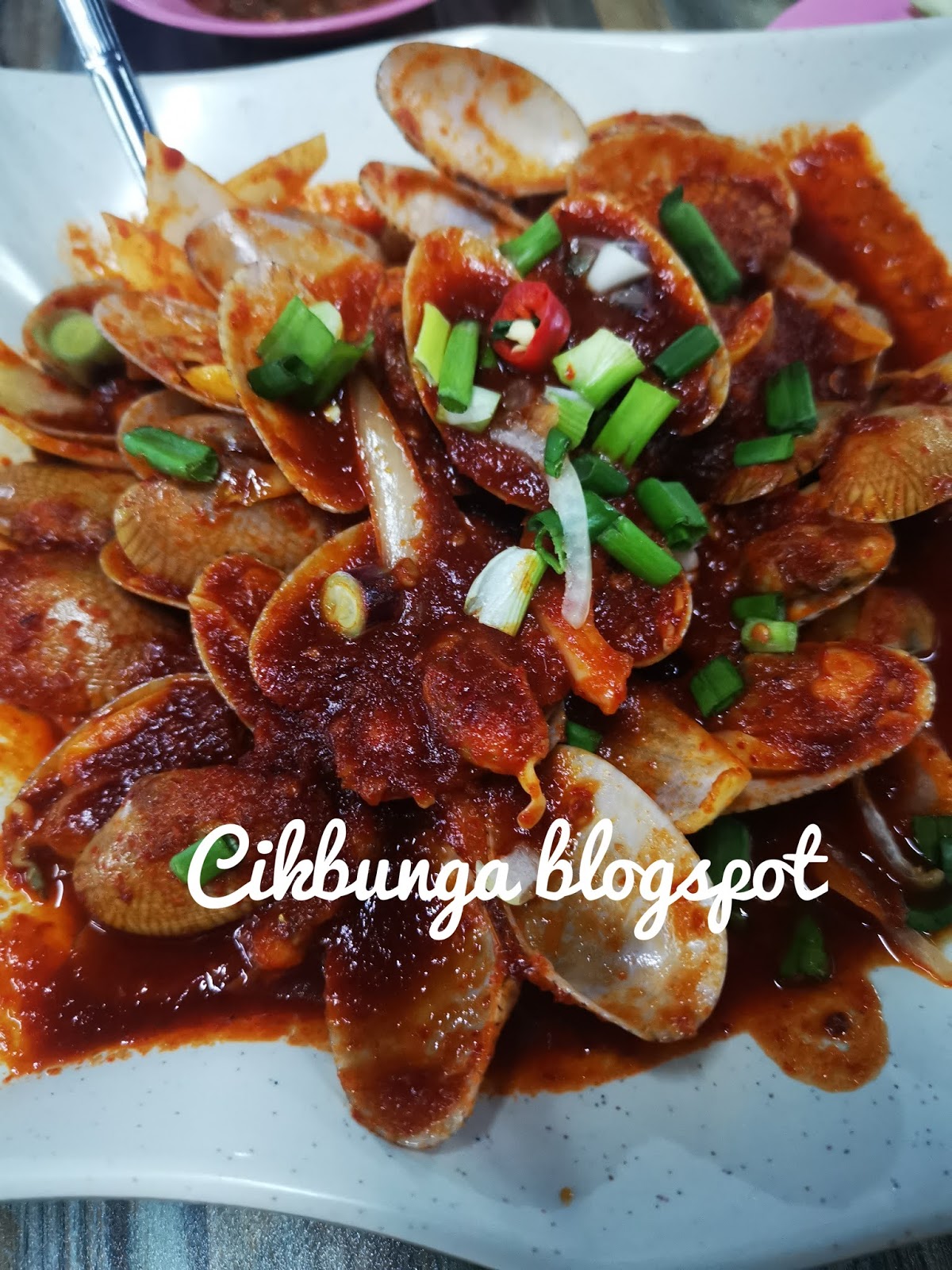 Cik Bunga a.k.a ciktim: Api-Api Ikan Bakar Kuala Perlis - Tempat makan ...