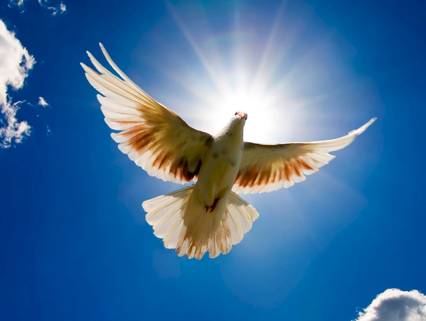 Guided by the Holy Spirit