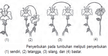 Bank Soal Sekolah Dasar: Apa yang Dimaksud Penyerbukan dan Sebutkan ...