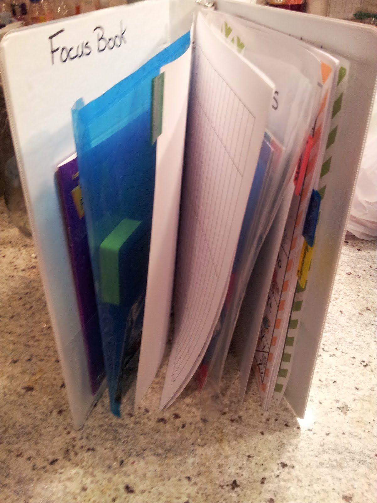 The Crazy Pre-K Classroom: Individual Guided Reading Binders: How to ...