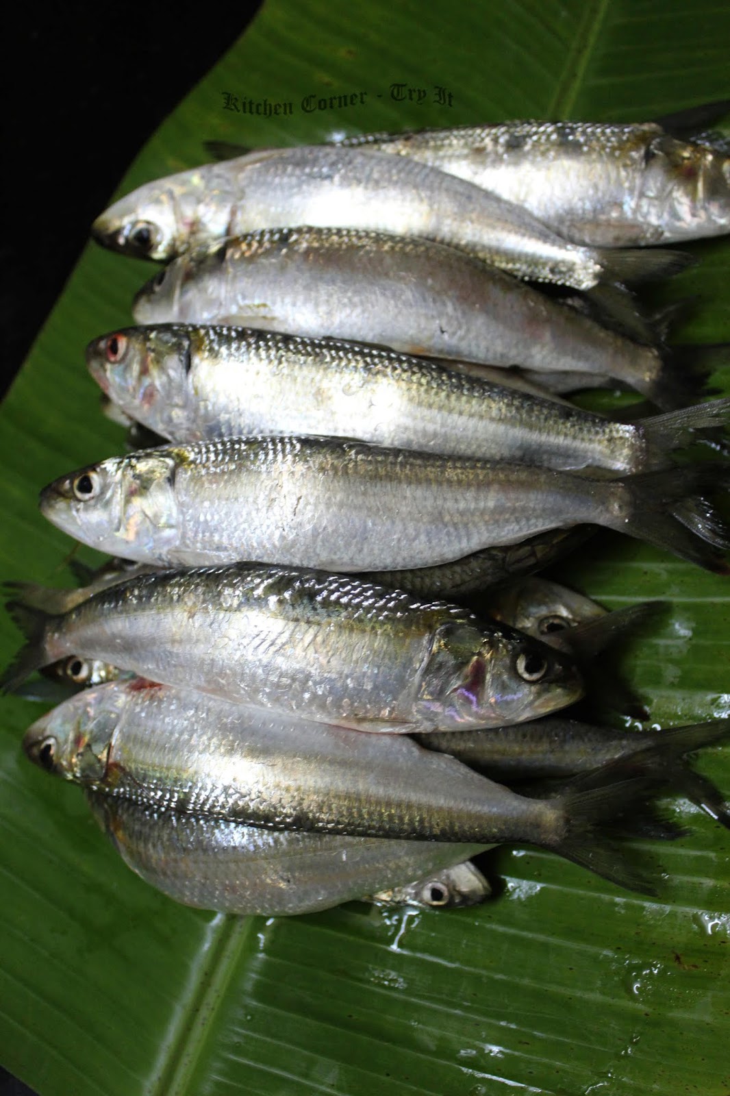 Mathi Puliyum Mulakum/Sardine Fish Curry