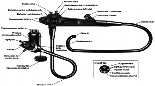 The Site for Healthcare Professionals: Endoscope (Part 1)