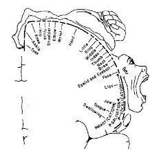 Joyful Movement: A Climb Called Homunculus