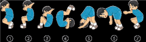 Materi Penjaskes Pembelajaran Senam Lantai Materi Gerakan Guling ...