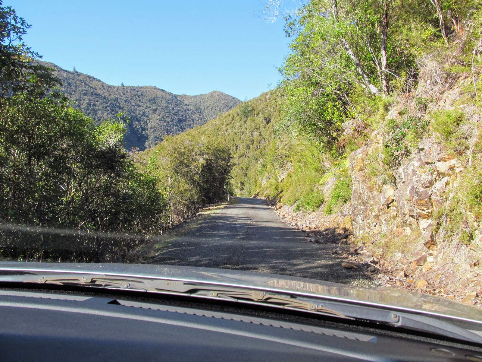 Tramping in the New Zealand backcountry: NZ Bush Adventures: Cobb River ...