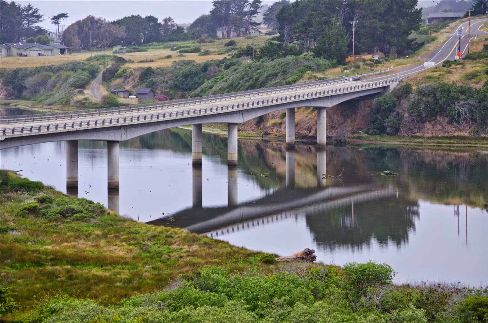 Fog Dodgers: TEN MILE RIVER