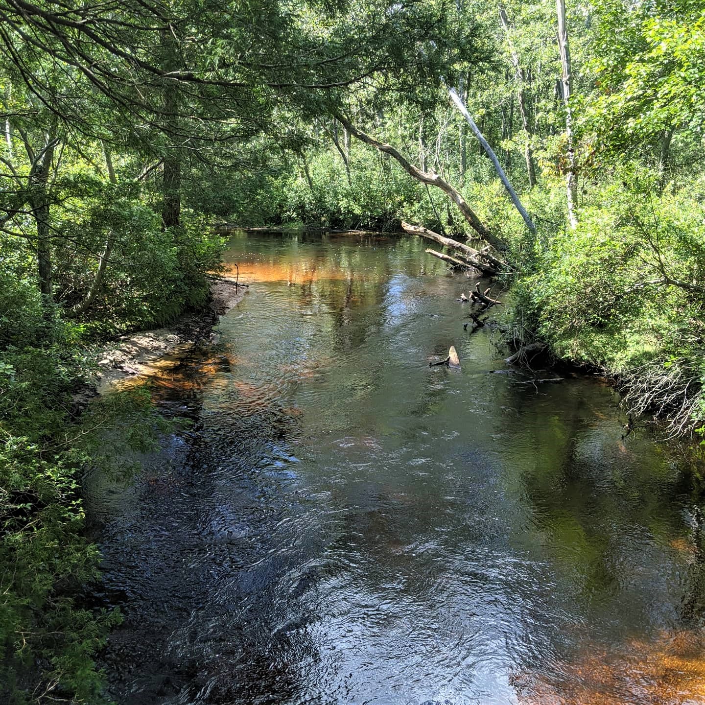 Cottage by the Sea : 09/20