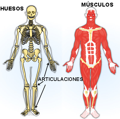 EL DESCONTROL : PROYECTOS 6º