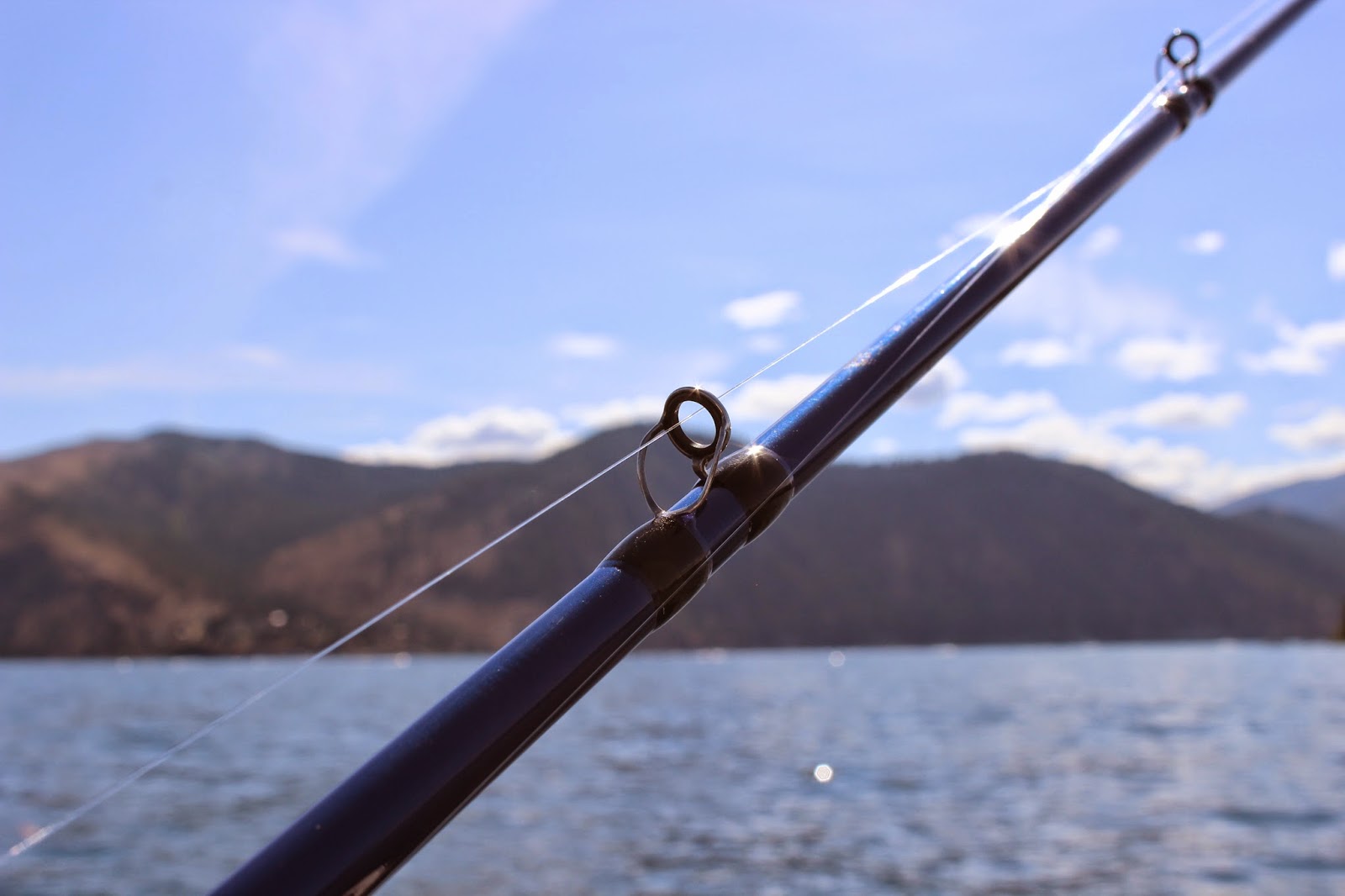 T Brinks Fishing: Lamiglas Excel II Rod Review