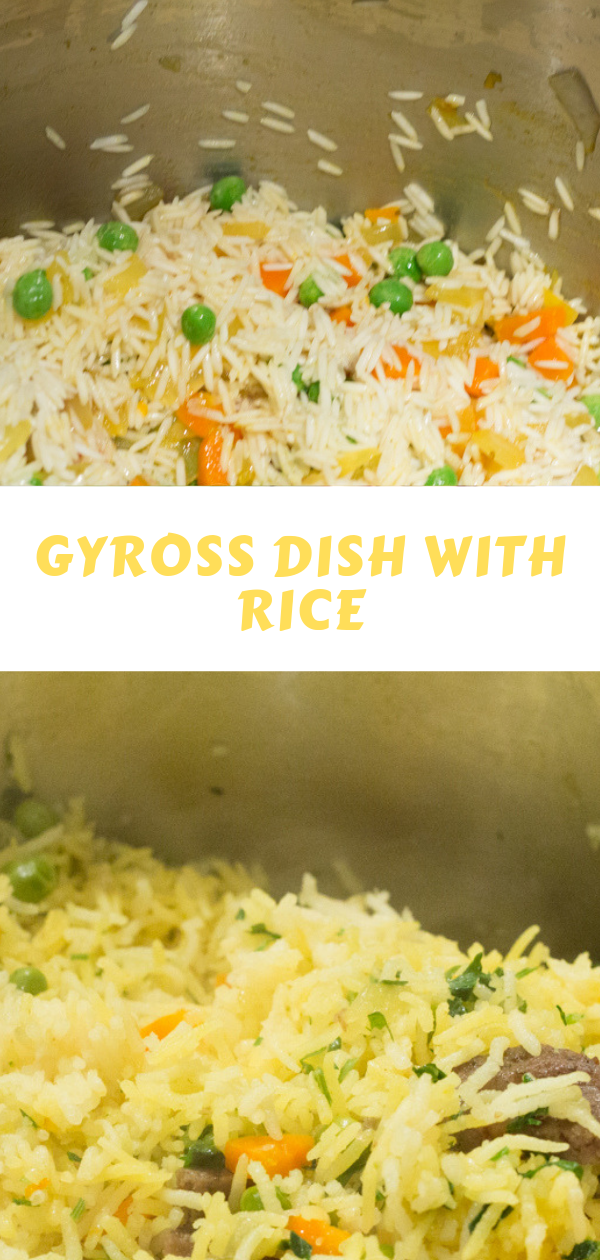 GYROSS DISH WITH RICE - BEST RECIPES