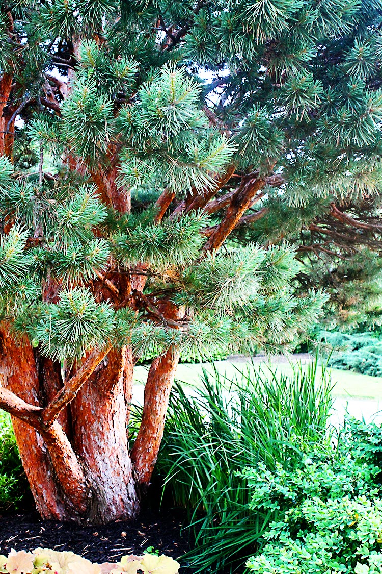 Wade Oval Photography and Surrounding Areas | Art Loves Company