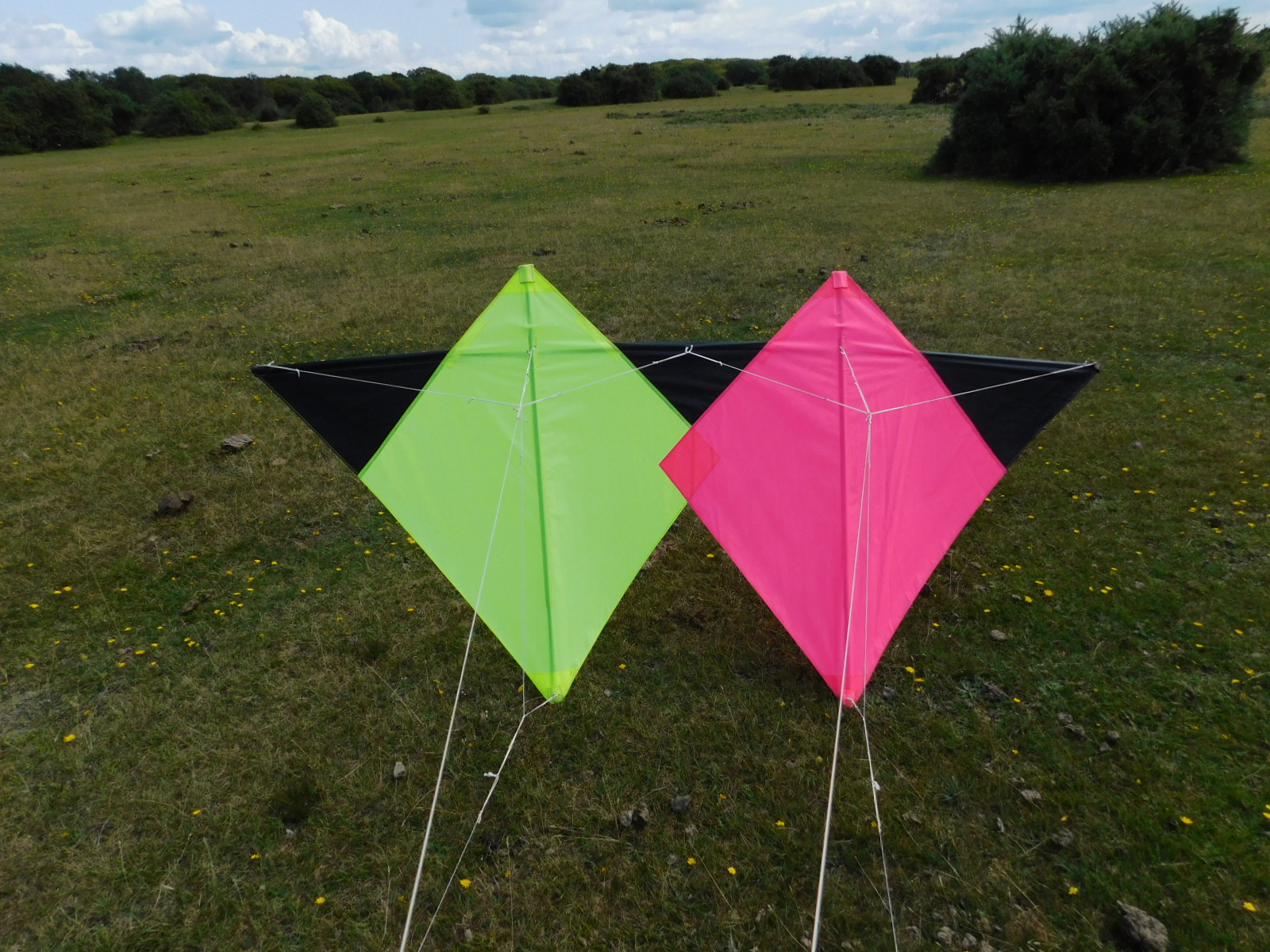 Peter Powell kites collection: 2019