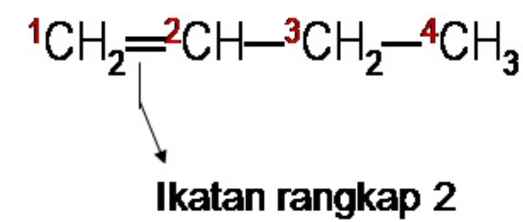Belajar Memahami Alkena Sebagai Senyawa Hidrokarbon