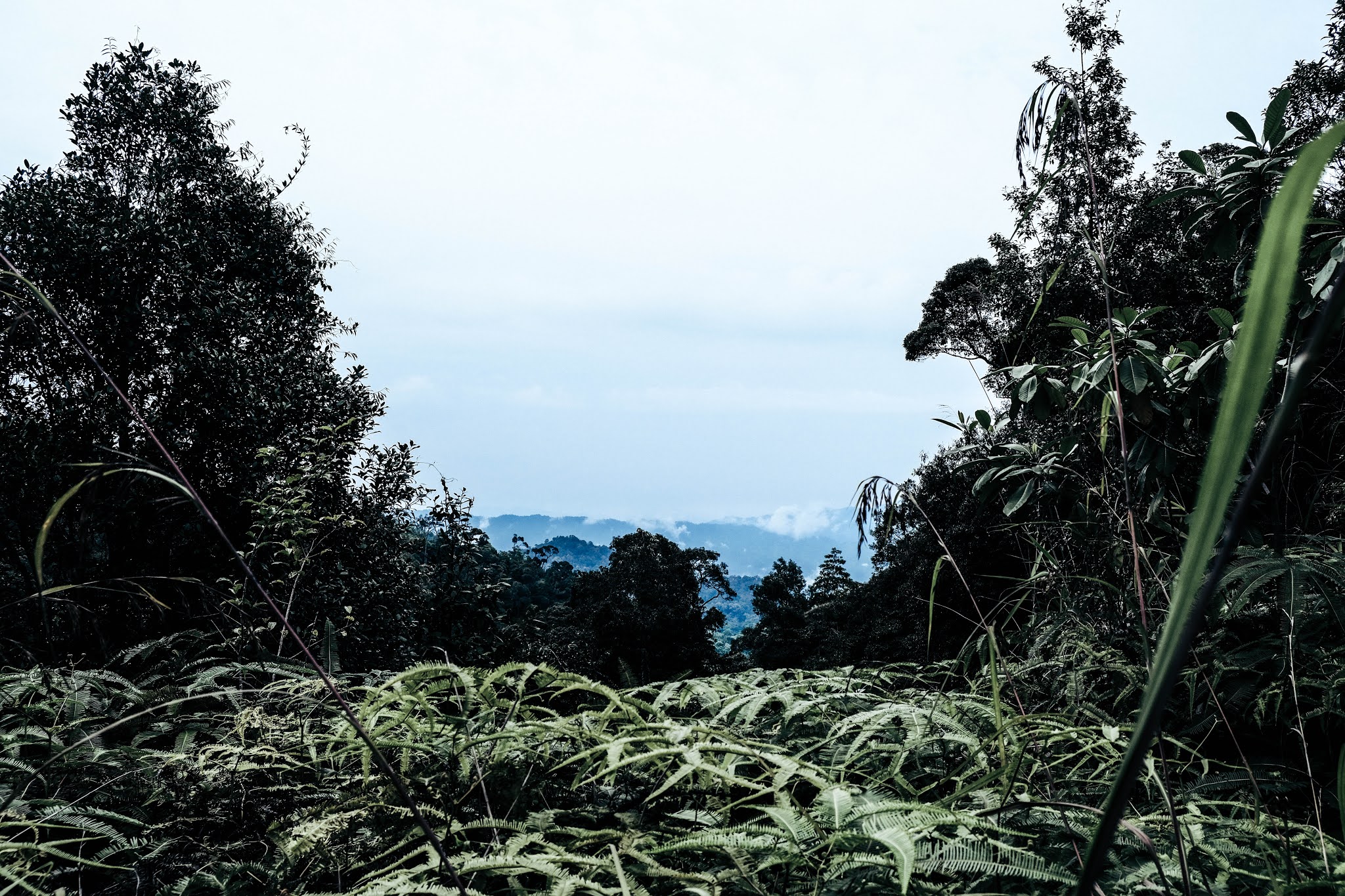 | Gunung Kecil Hantu | 鬼節登鬼山---日登九州小鬼山-Tupai眼看世界