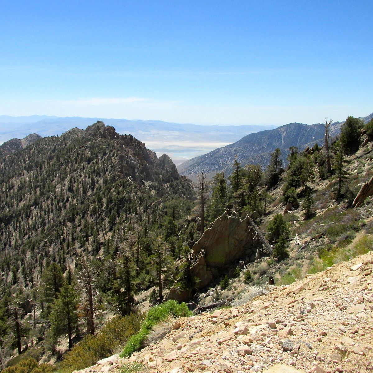 Travel With Whippets: Lone Pine, California