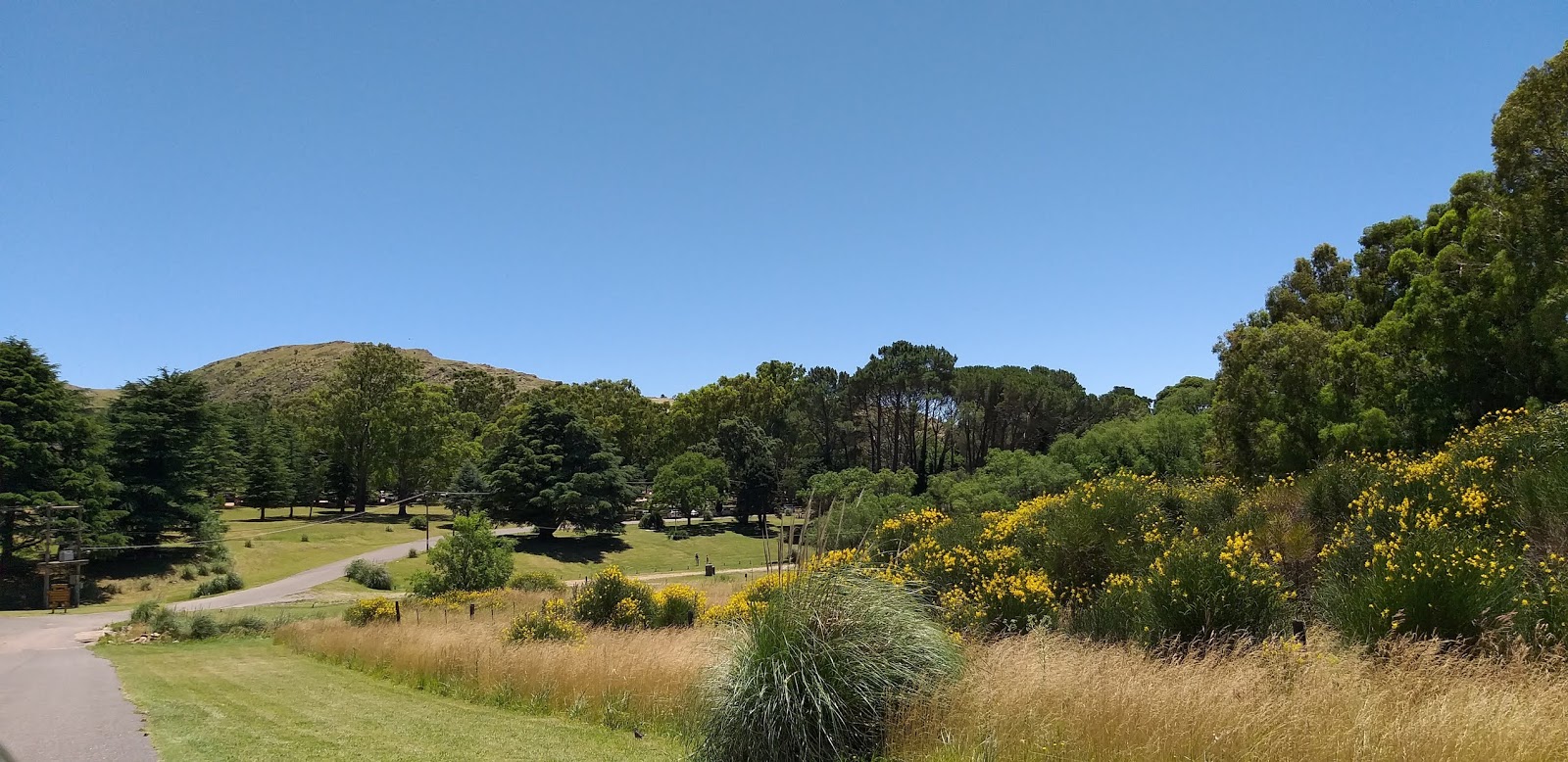 VIAJERO RODANTE: Parque Tornquist