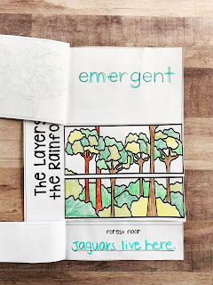 Rainforest ELA Unit for Kindergarten and 1st Grade | Busy Hands and Minds