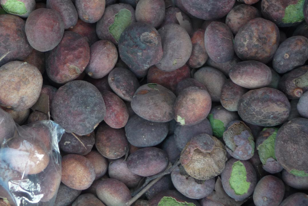 moromoro: waardevol fruit: danke, sinasappel en grapefruit