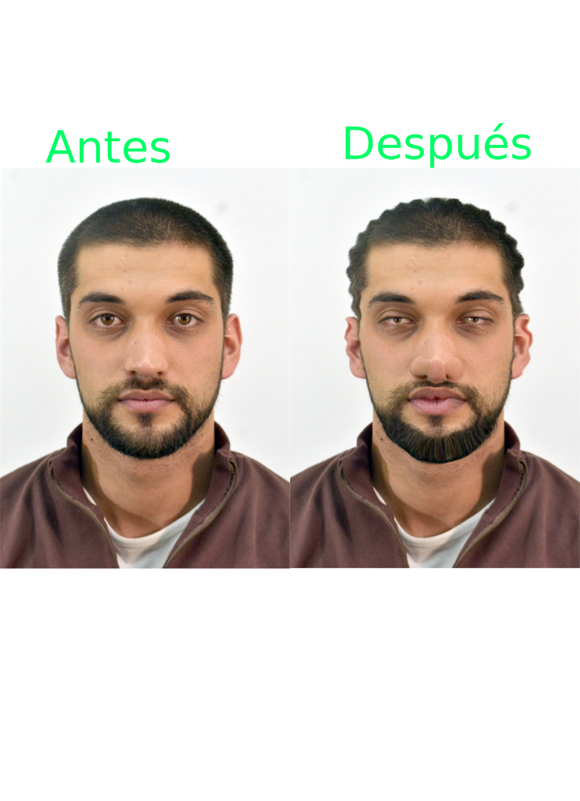 Creación de gif animado