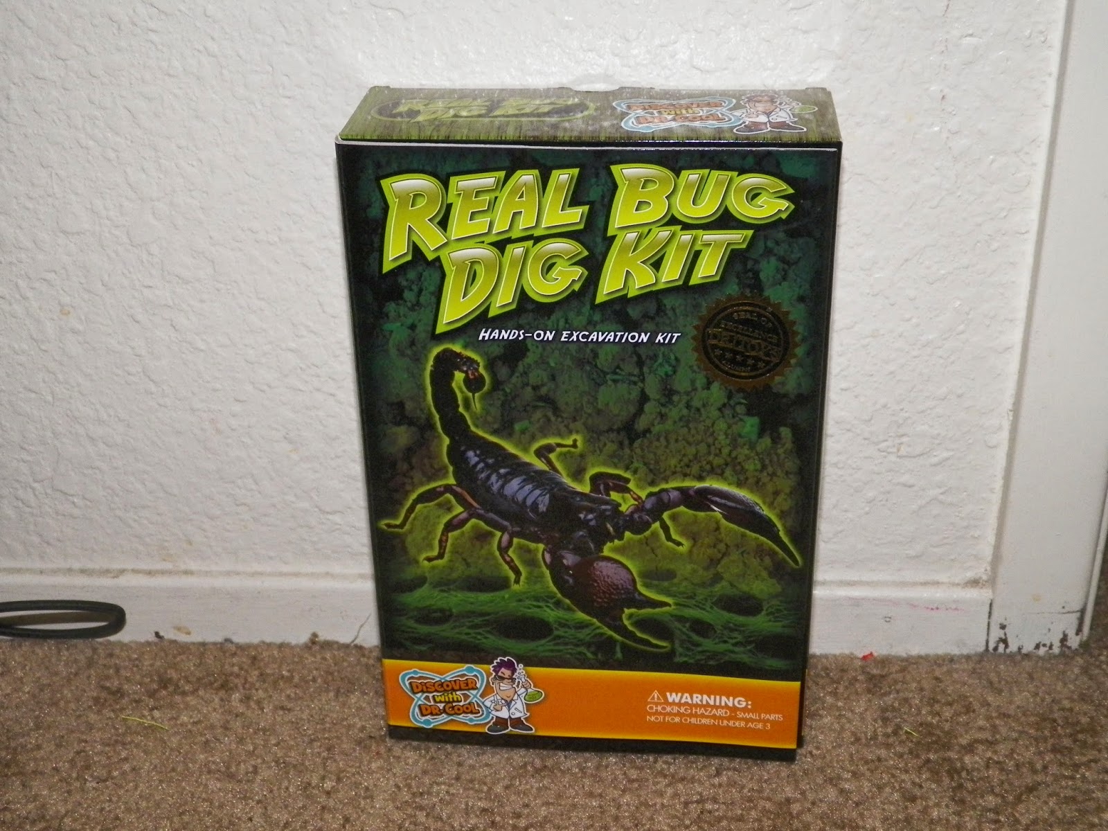 Insect Excavation Kit at Jody Velasco blog