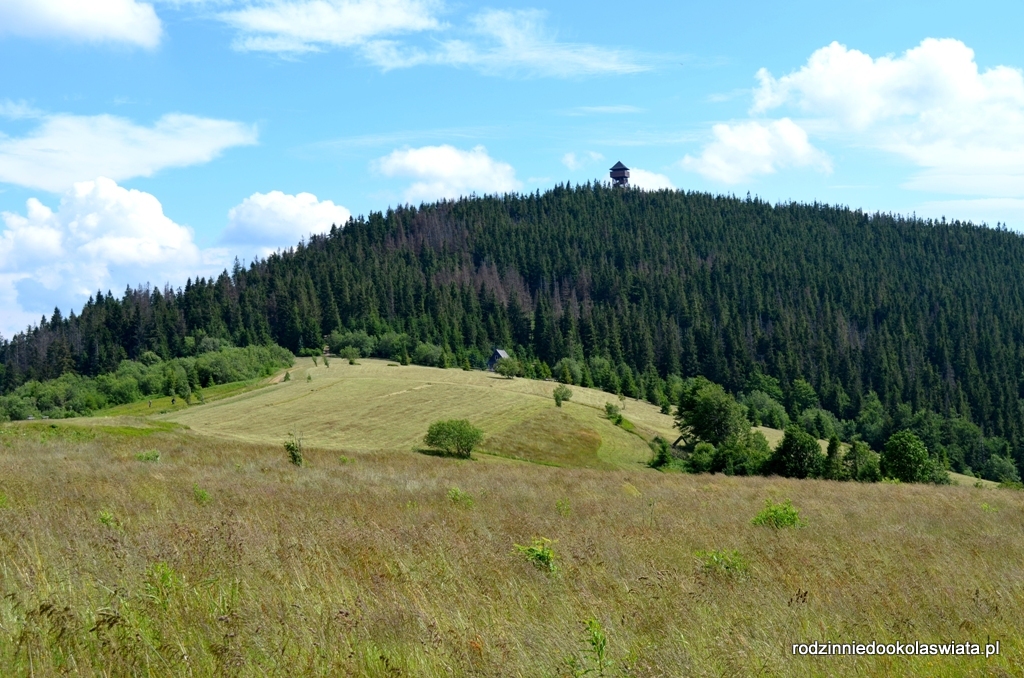 Gorc i baza namiotowa Gorc z Lubomierza-Rzeki | RODZINNIE DOOKOŁA ŚWIATA
