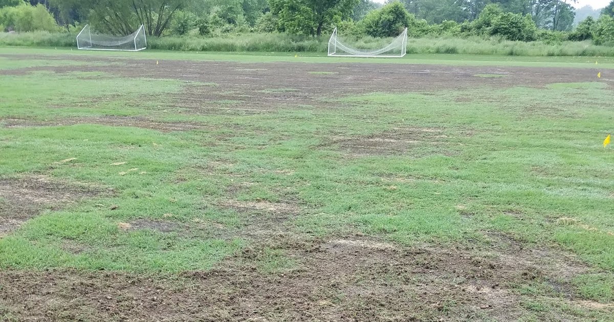 Tee Off With Joe: Bermuda grass sprigging