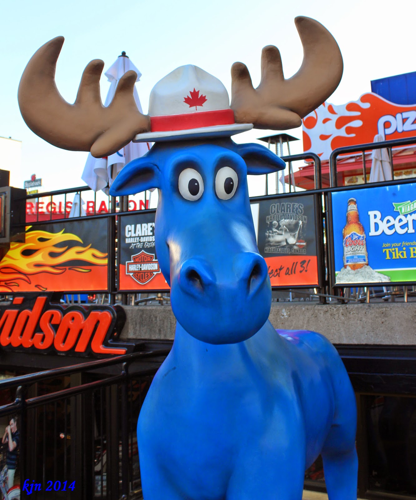 The Outskirts of Suburbia: The Blue Moose of Niagara Falls, Ontario