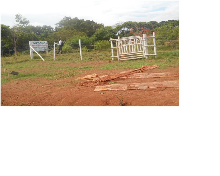 Ebenezer Elder Treks: Mpanga Eco-tourism site – Uganda