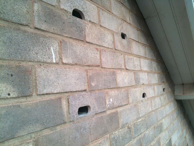 Action for Swifts: Retrofitted Swift boxes in a gable end
